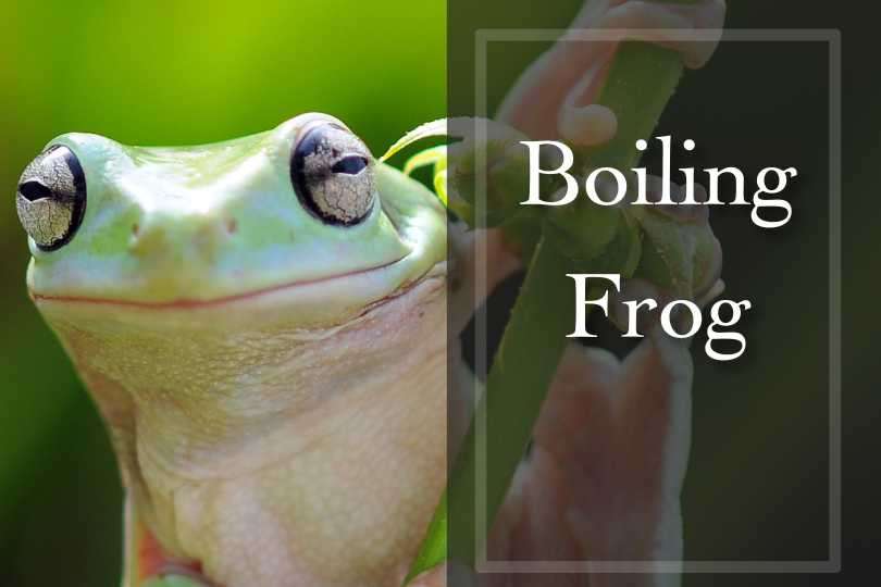 Boiling Frog: Inspirational story in Hindi